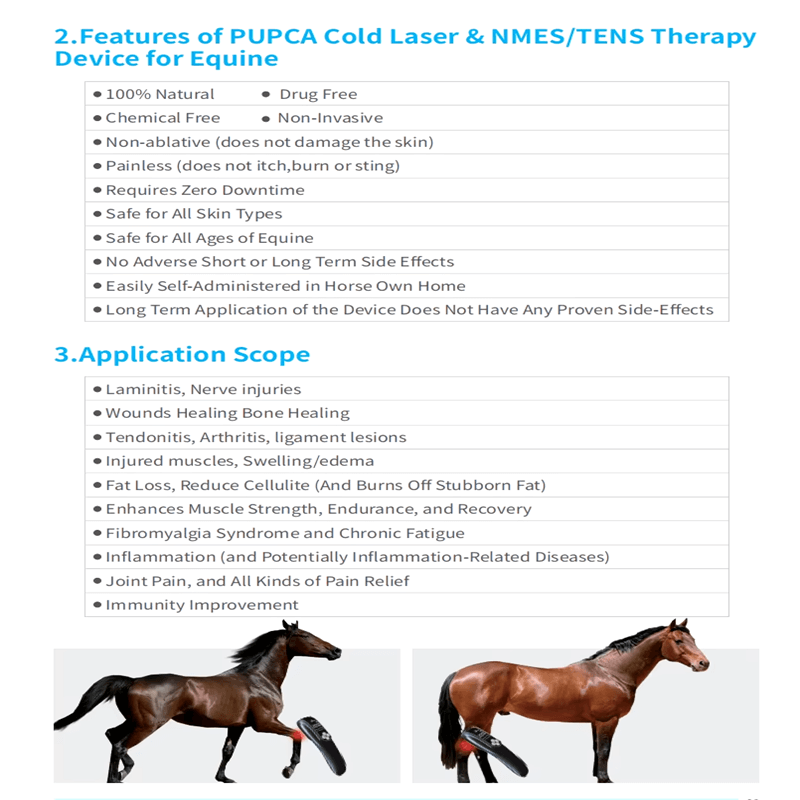 Cold Laser Therapy Device for Horses - 680nm/808nm Red Light & TEN ...