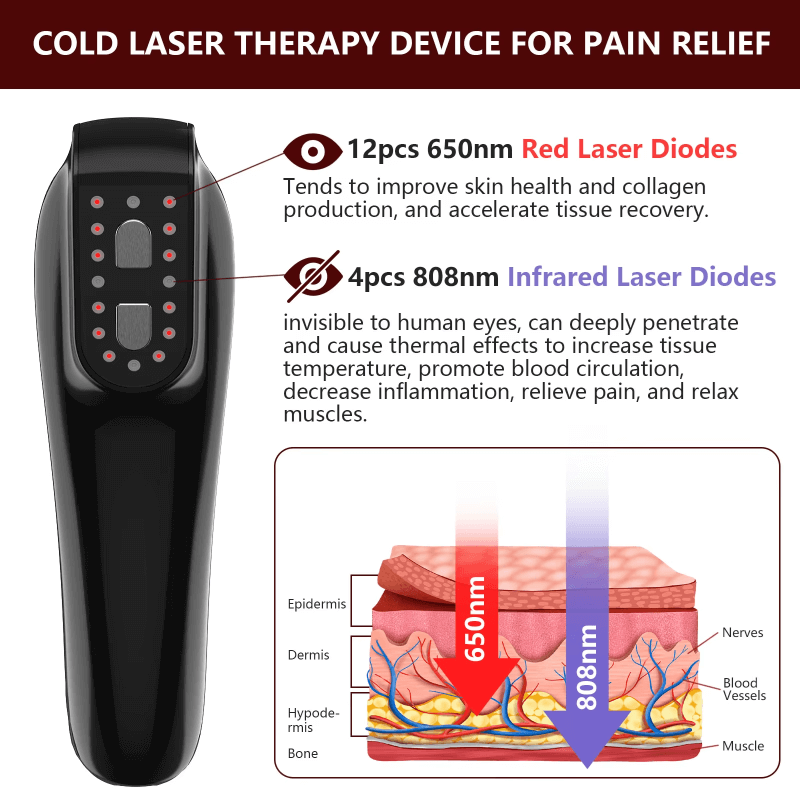 Cold Laser Therapy Device for Horses - 680nm/808nm Red Light & TEN ...