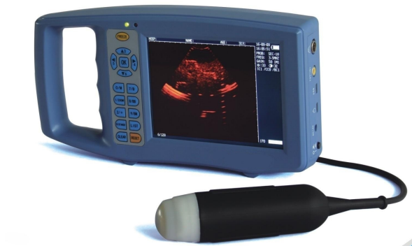 Veterinary v1 portable ultrasound for Pets, Cat, sheep and goats - Vet ...